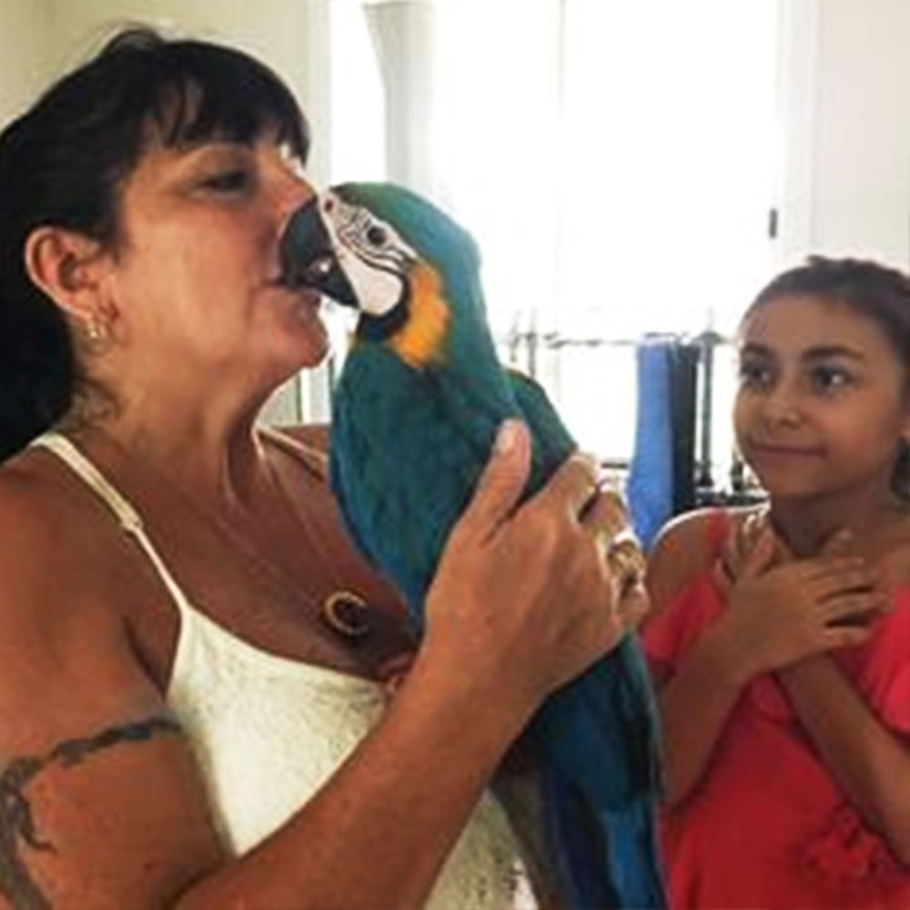 Testimonials | Birds'n'All